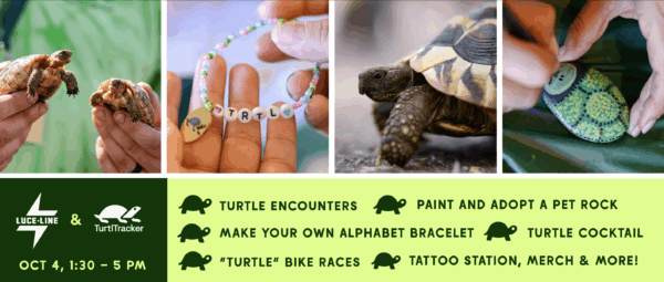 Turtle Bash - Luce Line Brewing Co.